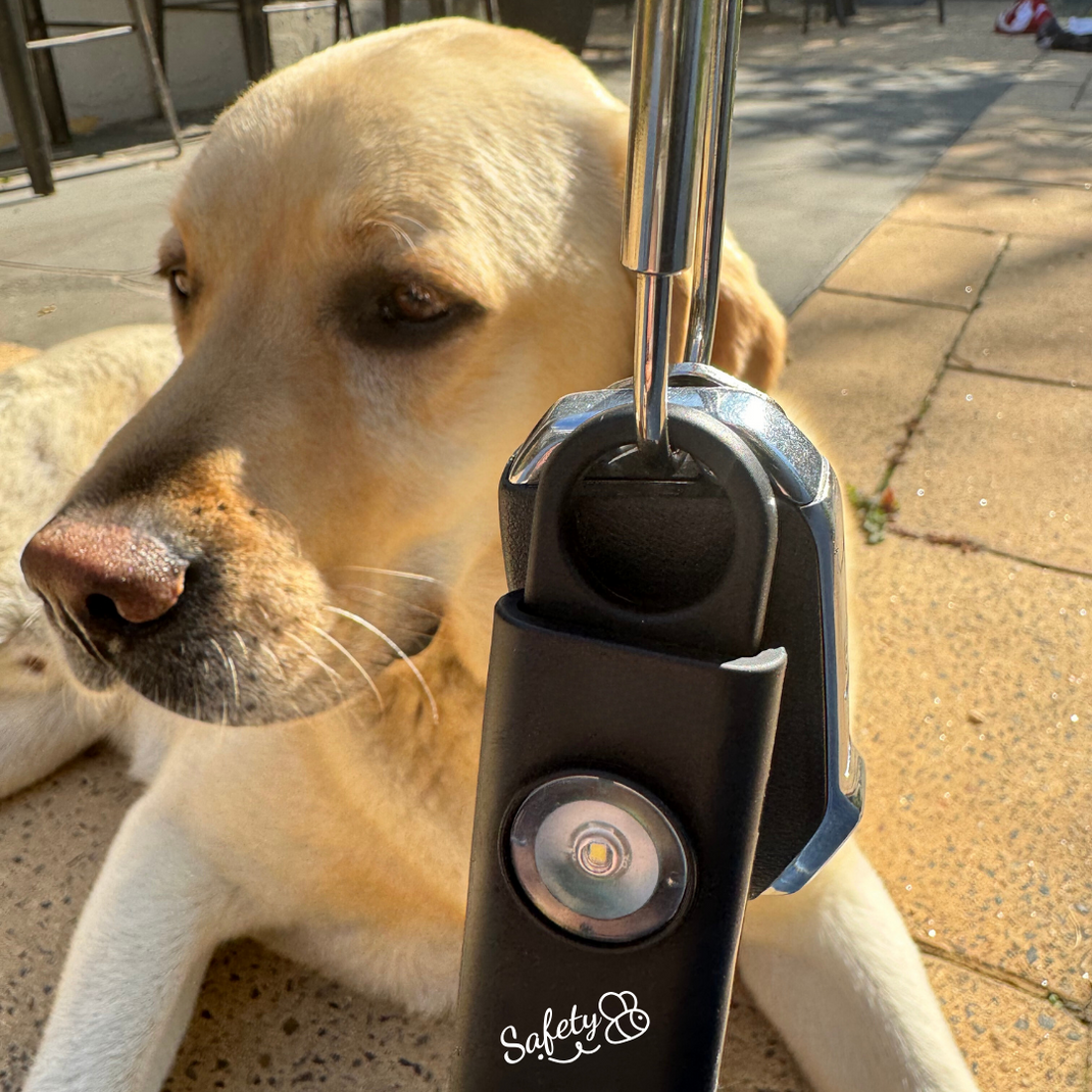 Safety Bee - Personal Alarm Systems – safetybee